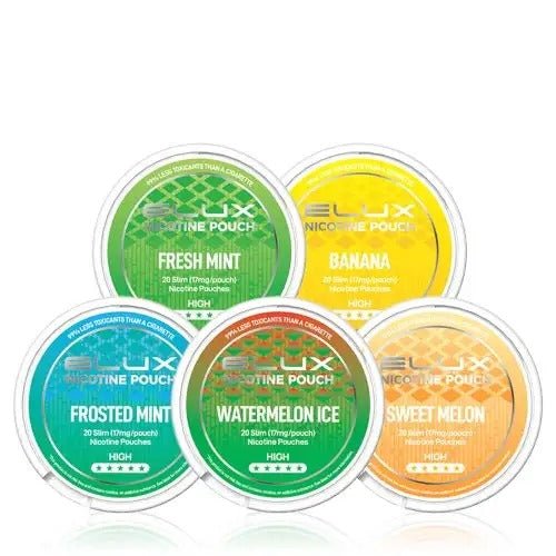 Elux Nicotine Pouches - (Pack of 10)– Washington Vapes Wholesale