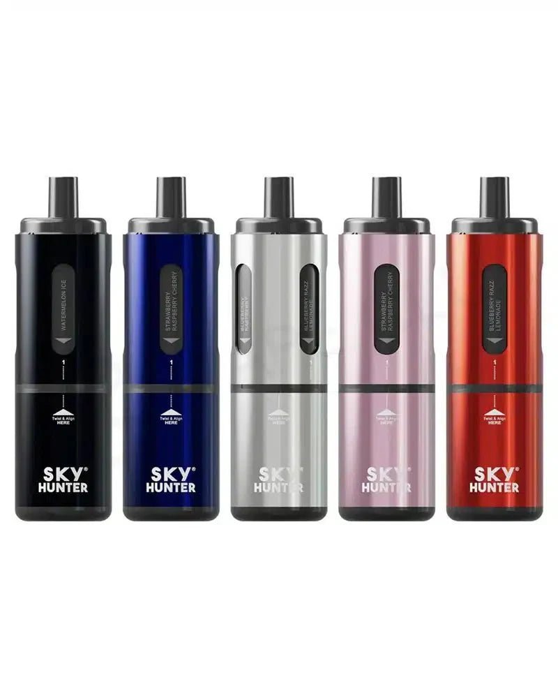 Sky Hunter Twist 2400 - (Pack of 5)– Washington Vapes Wholesale